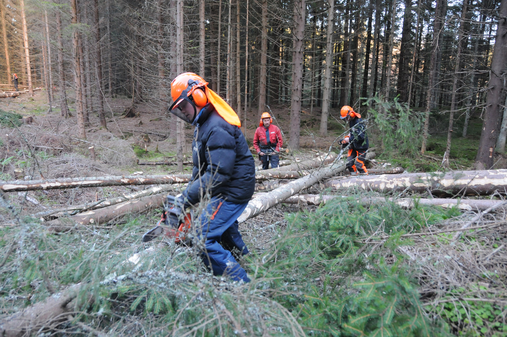 Valstrand-elever svingte saga • Birkenesavisa