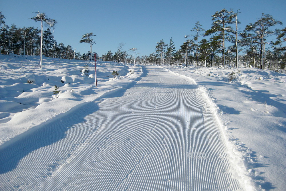 Gebursdag på Toplandsheia • Birkenesavisa