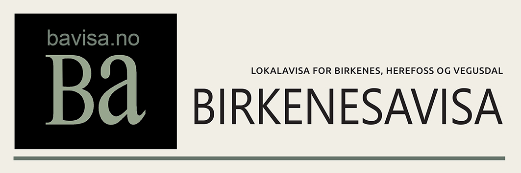 Birkelandsdagene 2025: Tre dager med folkefest, kultur og aktiviteter ...