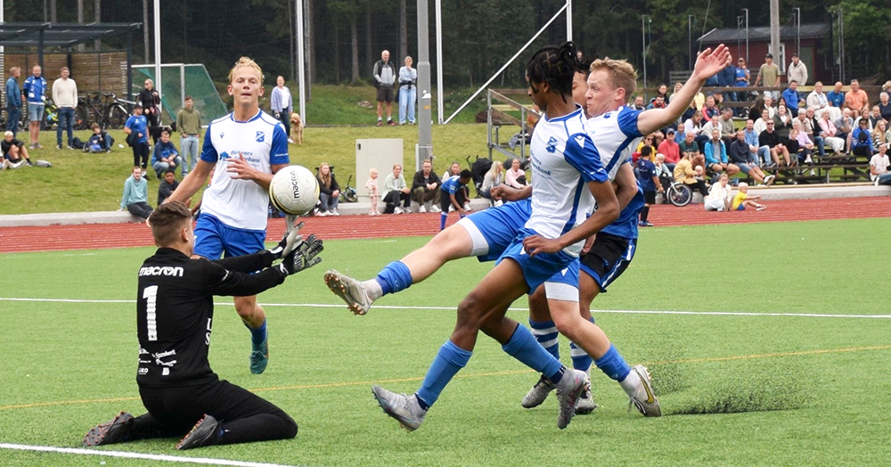 Rått parti i Holta • Birkenesavisa