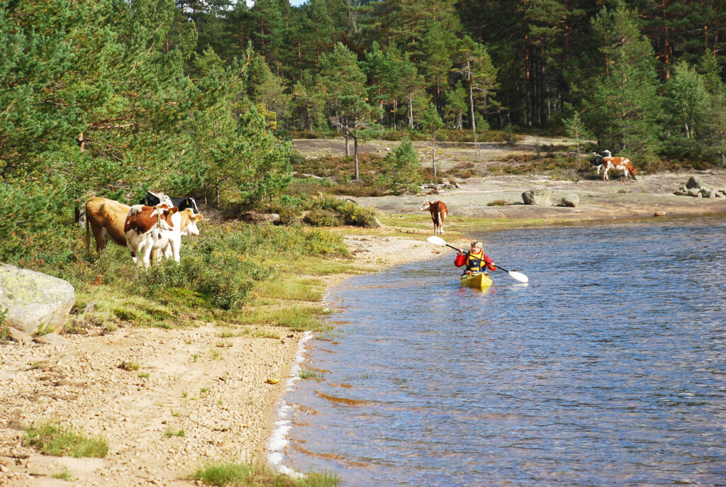 Kulturorienteringspostene ligger nå ute: Lover deg fine turopplevelser ...